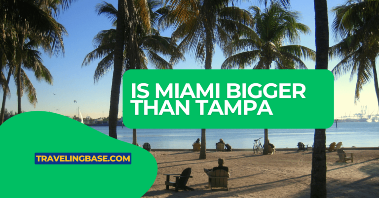 Is Miami bigger than Tampa? - Traveling Base